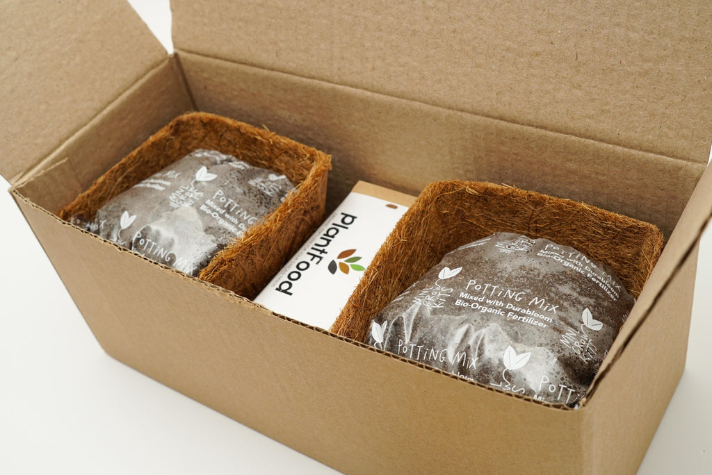 Duo Kits - MNLGrowkits